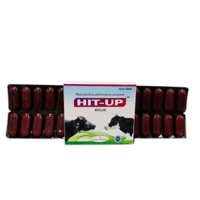 Heat Generative Bolus – Gensink Pharma